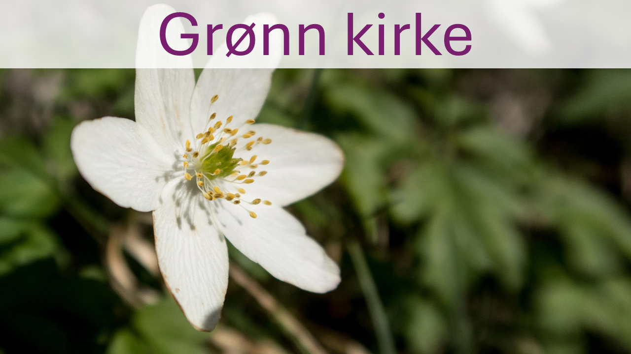 Riska menighet - Riska menighet