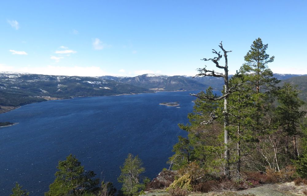 Visitas i Fyresdal - Agder og Telemark bispedømme